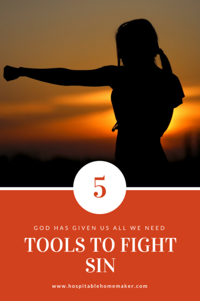 Fight Sin: 5 Tools God has Given to Help ~ Hospitable Homemaker